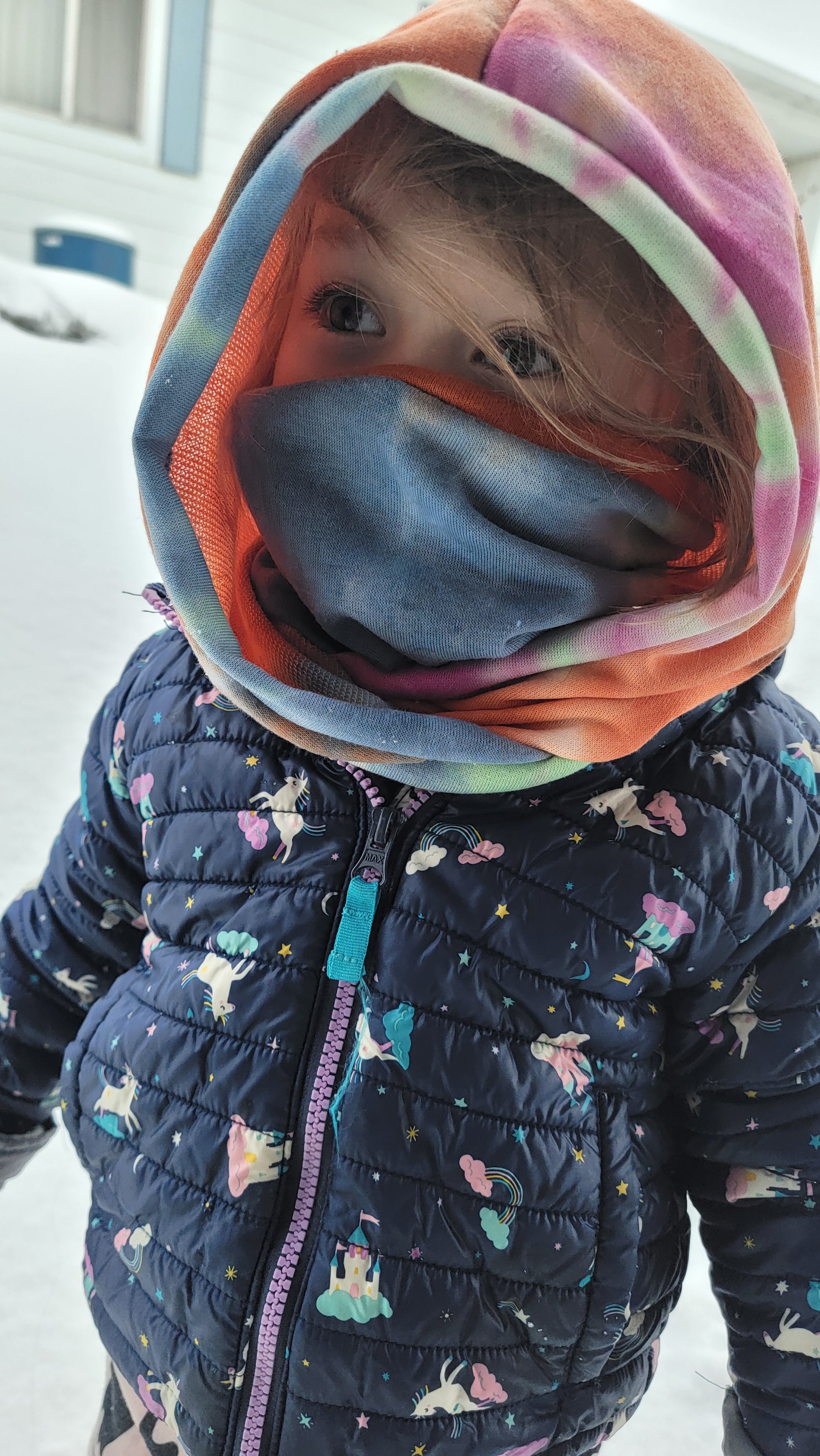 Scowl Cowl Sewing PDF pattern Hood and face covering by RockerByeDesta ...